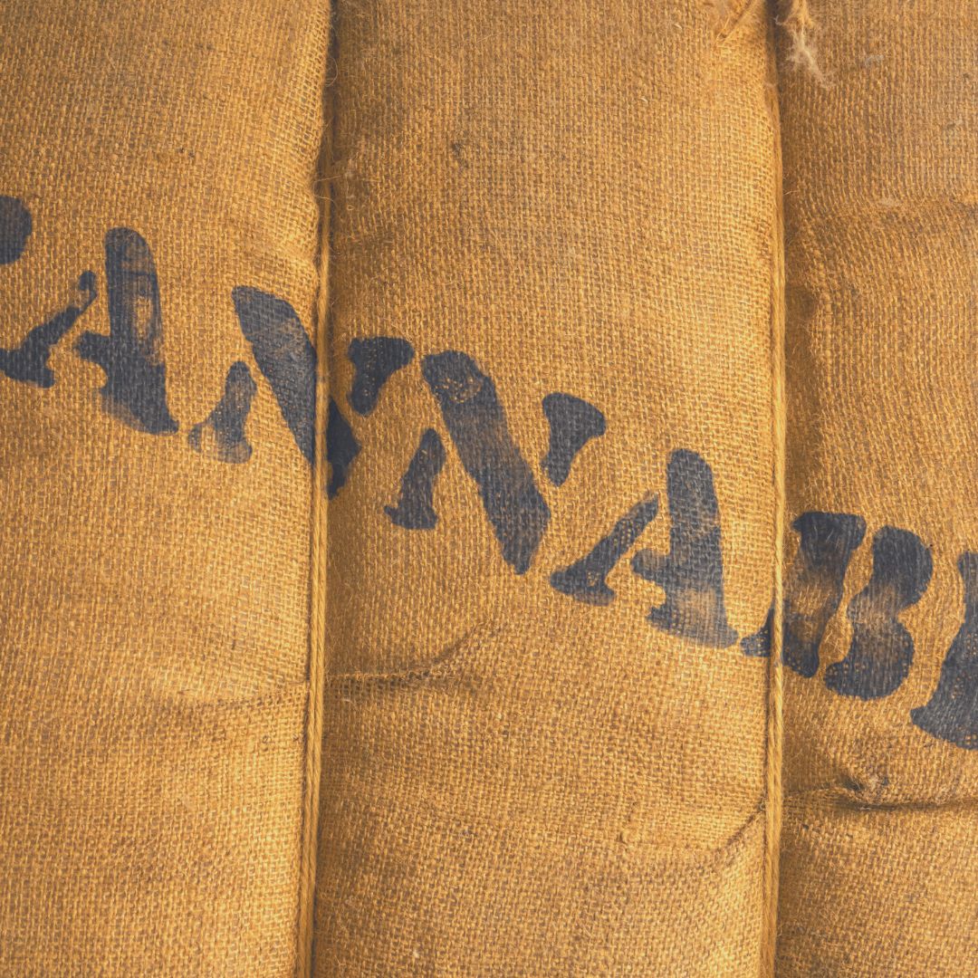 The Complete Guide To Measuring Craft Cannabis - Partake Cannabis