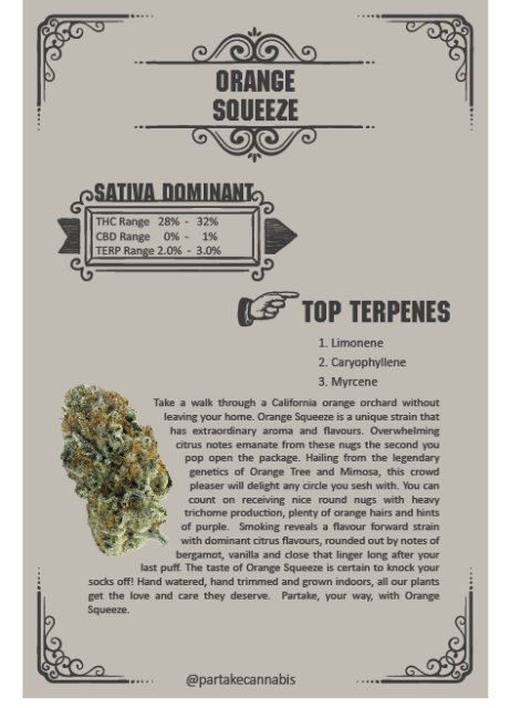 Orange Squeeze | Partake Cannabis